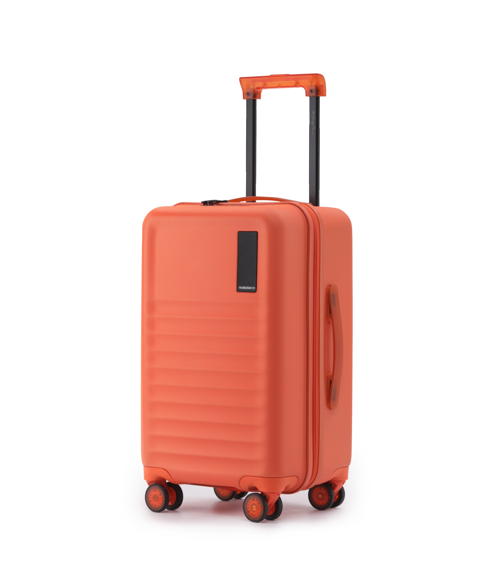 The Aisle Trunk - Cabin