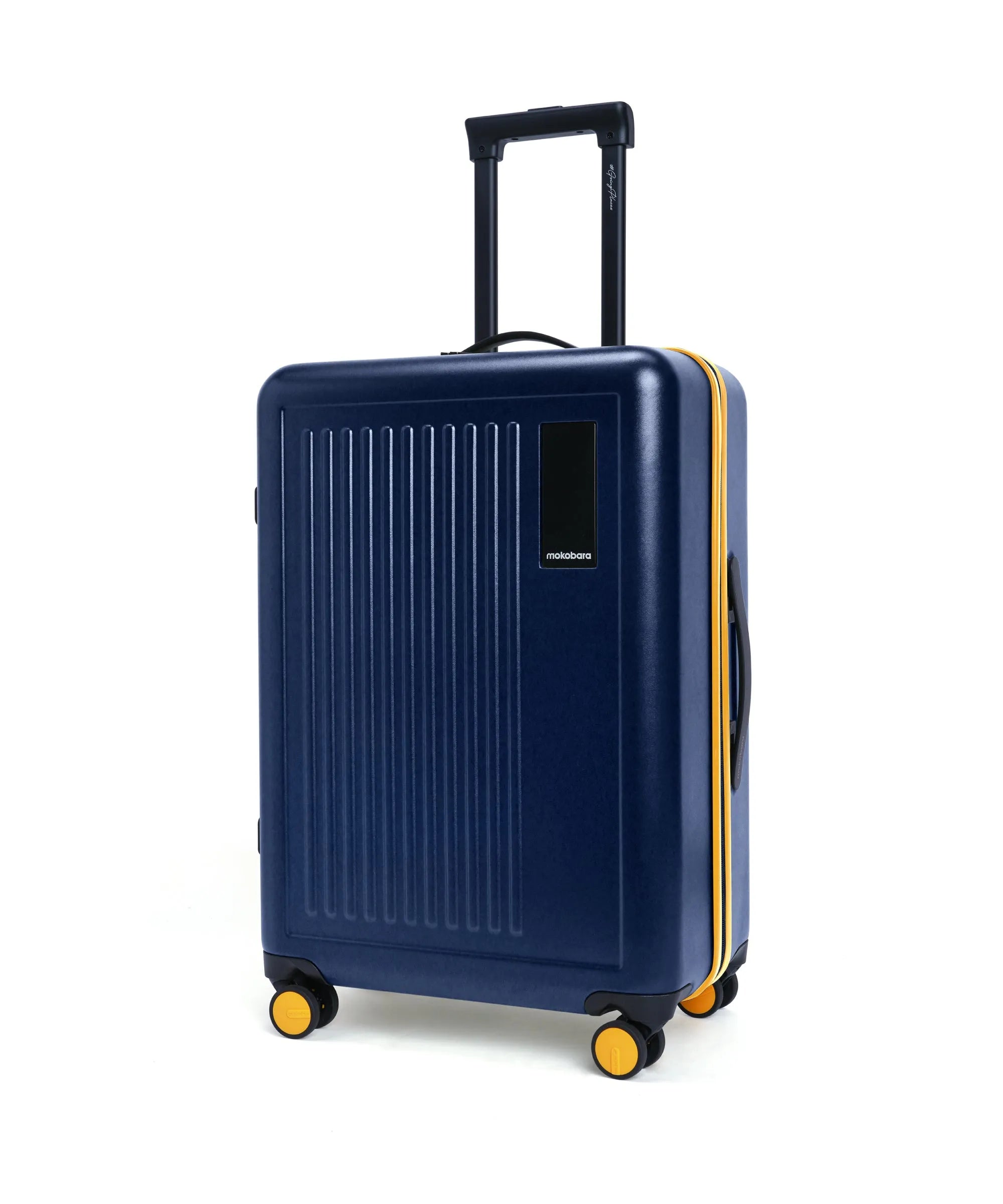 The Transit Luggage - Check-in